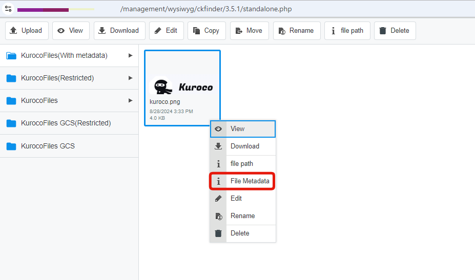 File credit and description information | Enterprise Headless CMS ...